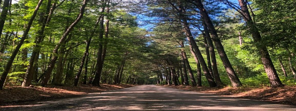 Welcome To Colesville Nursery